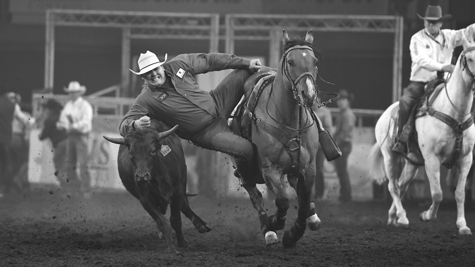 Saddle Up—Pro Rodeo is Back in Edmonton - Edmonton Pro Rodeo