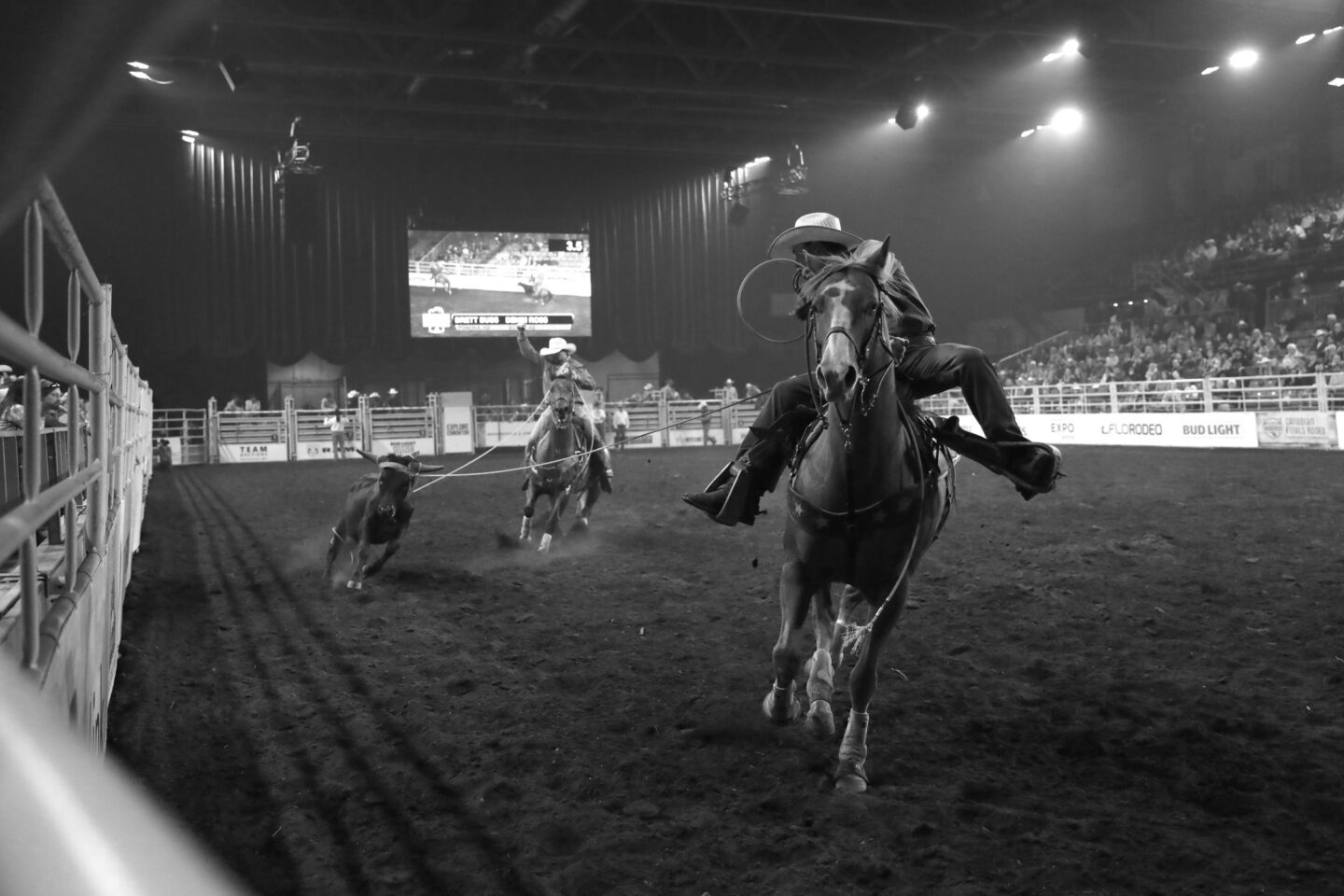 About The Edmonton Pro Rodeo | C5 Rodeo & Edmonton EXPO Centre
