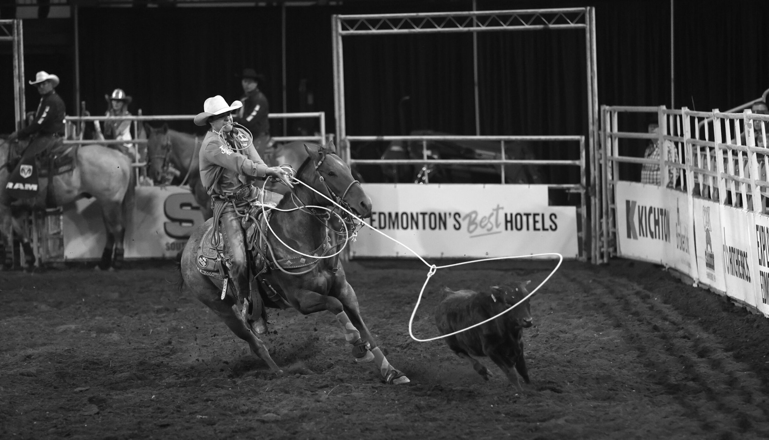 About The Edmonton Pro Rodeo | C5 Rodeo & Edmonton EXPO Centre