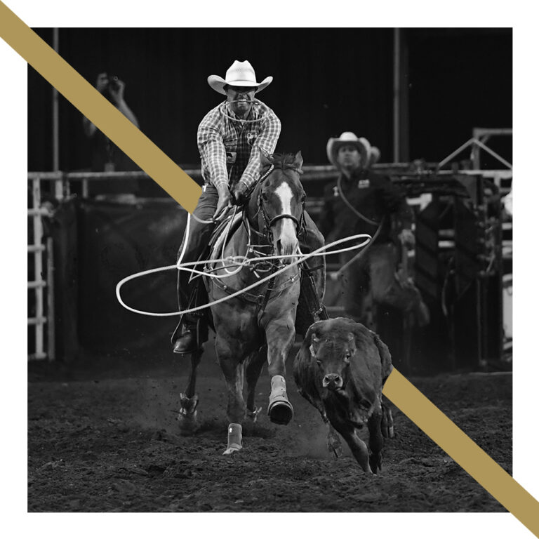 About Edmonton Pro Rodeo | C5 Rodeo & Edmonton EXPO Centre
