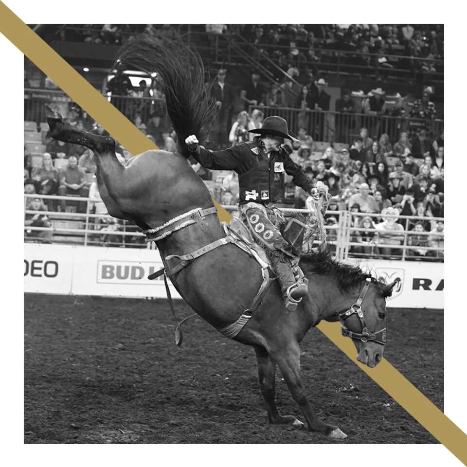 Edmonton Pro Rodeo | September 29 - 30 at Edmonton EXPO Centre