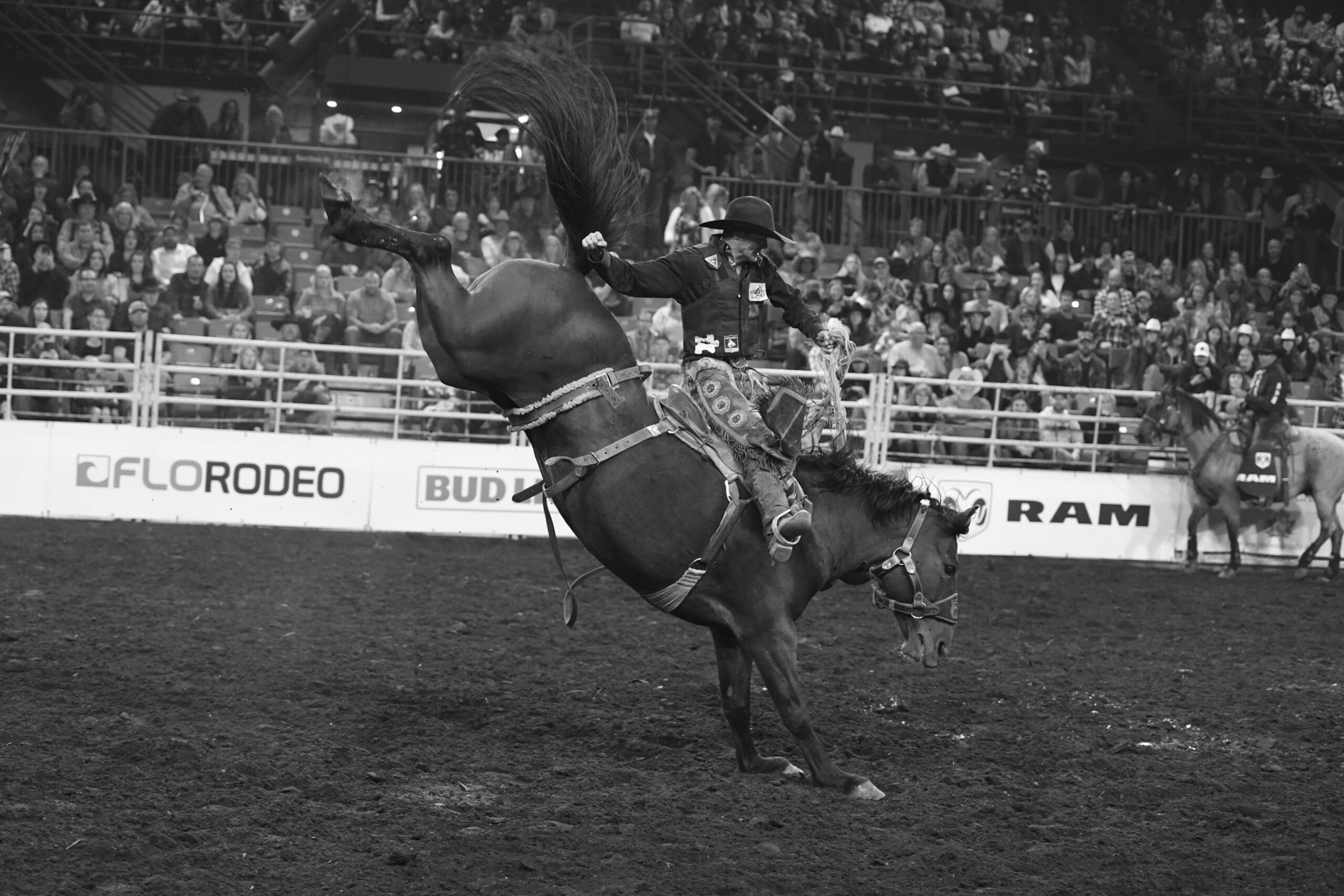 Results | Edmonton Pro Rodeo